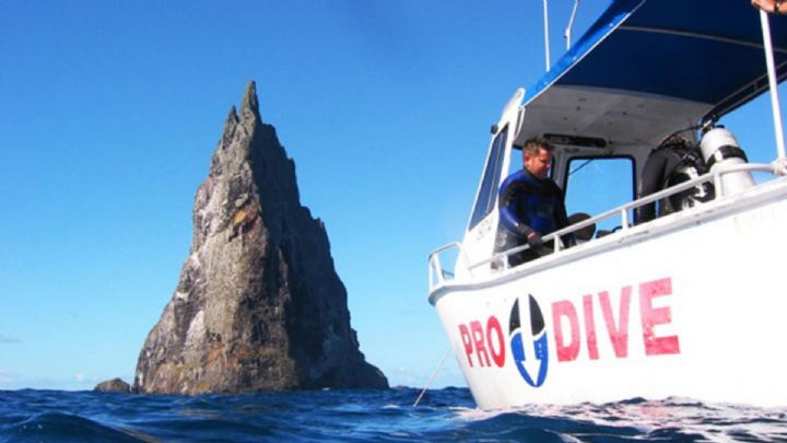 Scuba Diving & Course with PRO DIVE, Sydney, Cairns, Central Course ...